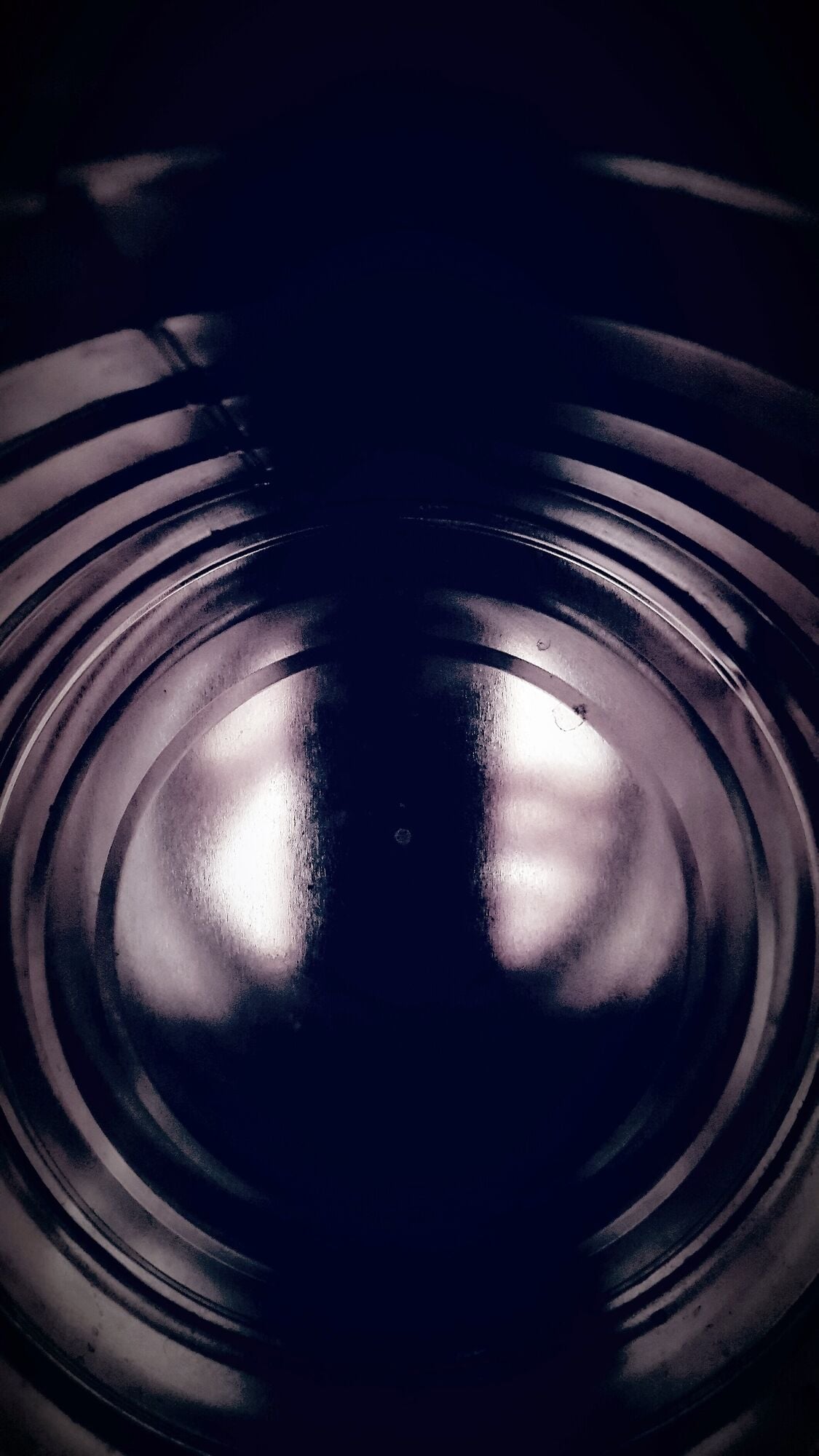 RVC Individual modules | University of London